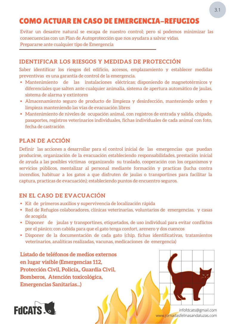 5 pasos esenciales para construir un refugio temporal en emergencias